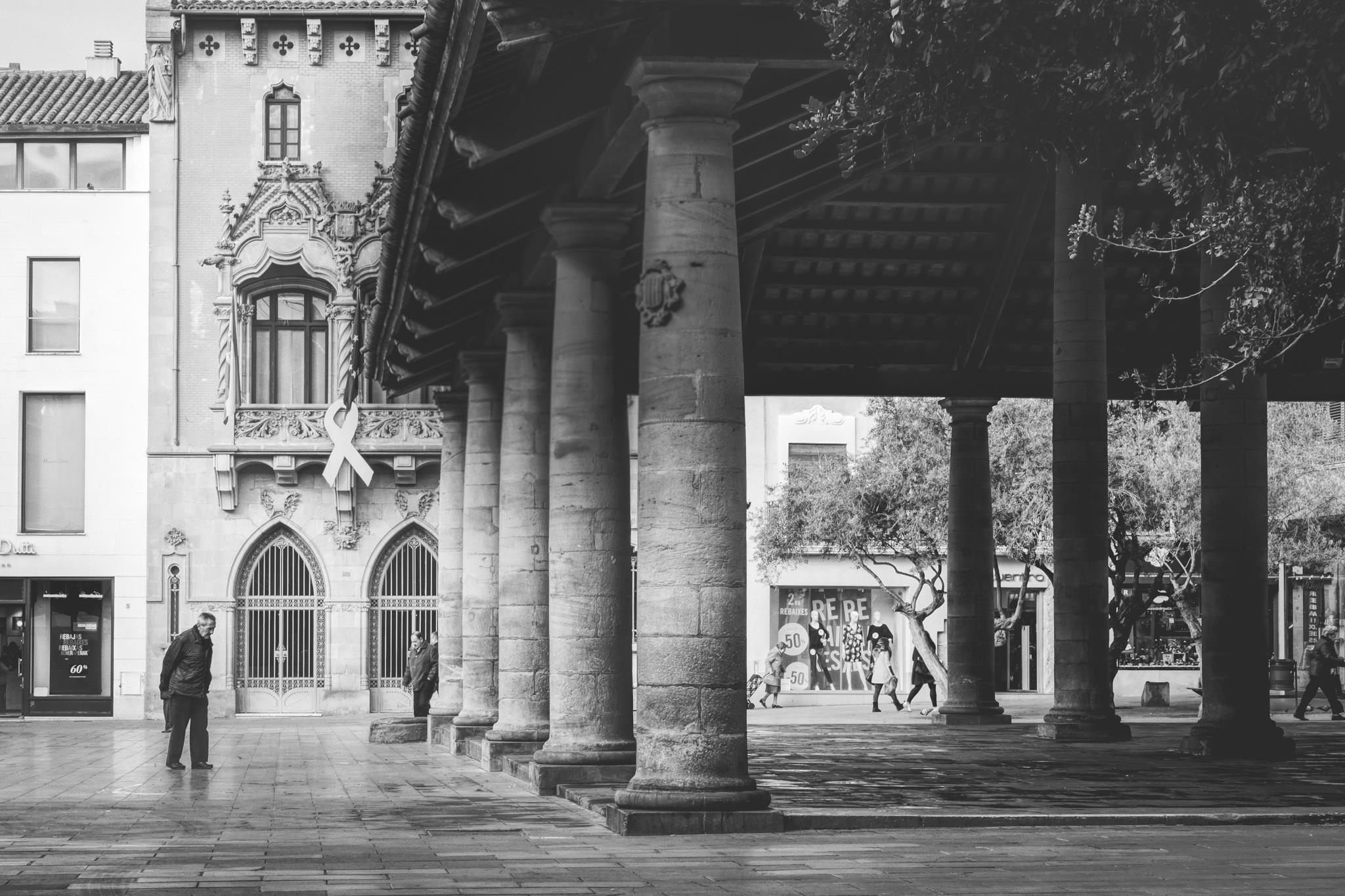 La firma – Raquel Bardella